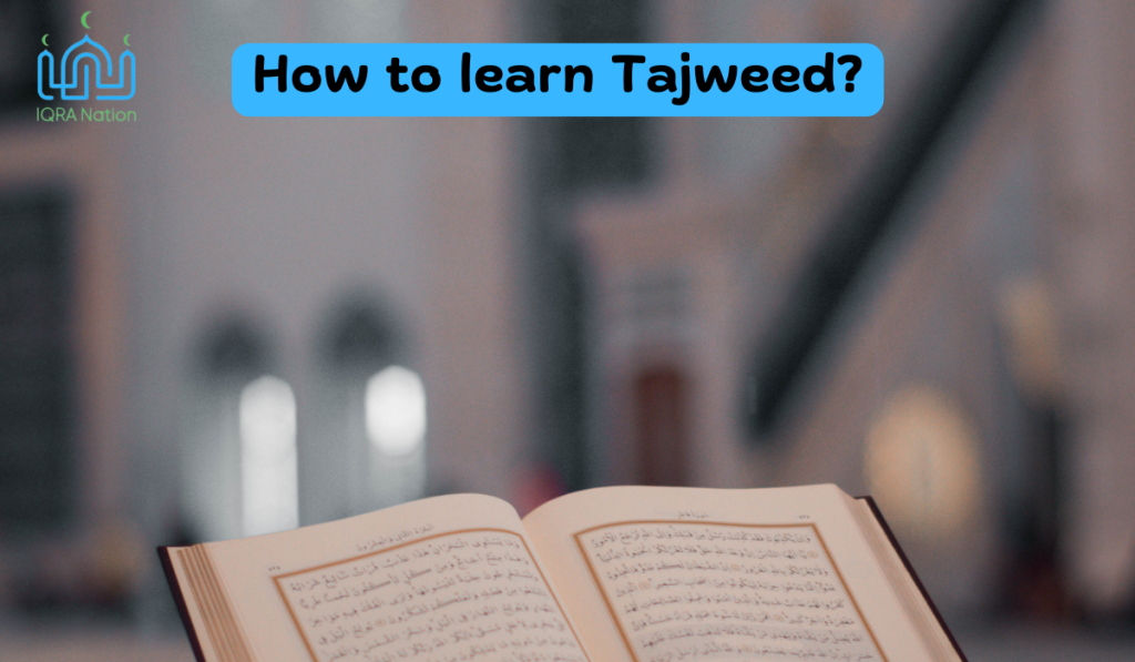 How to learn Tajweed? – IQRA Nation